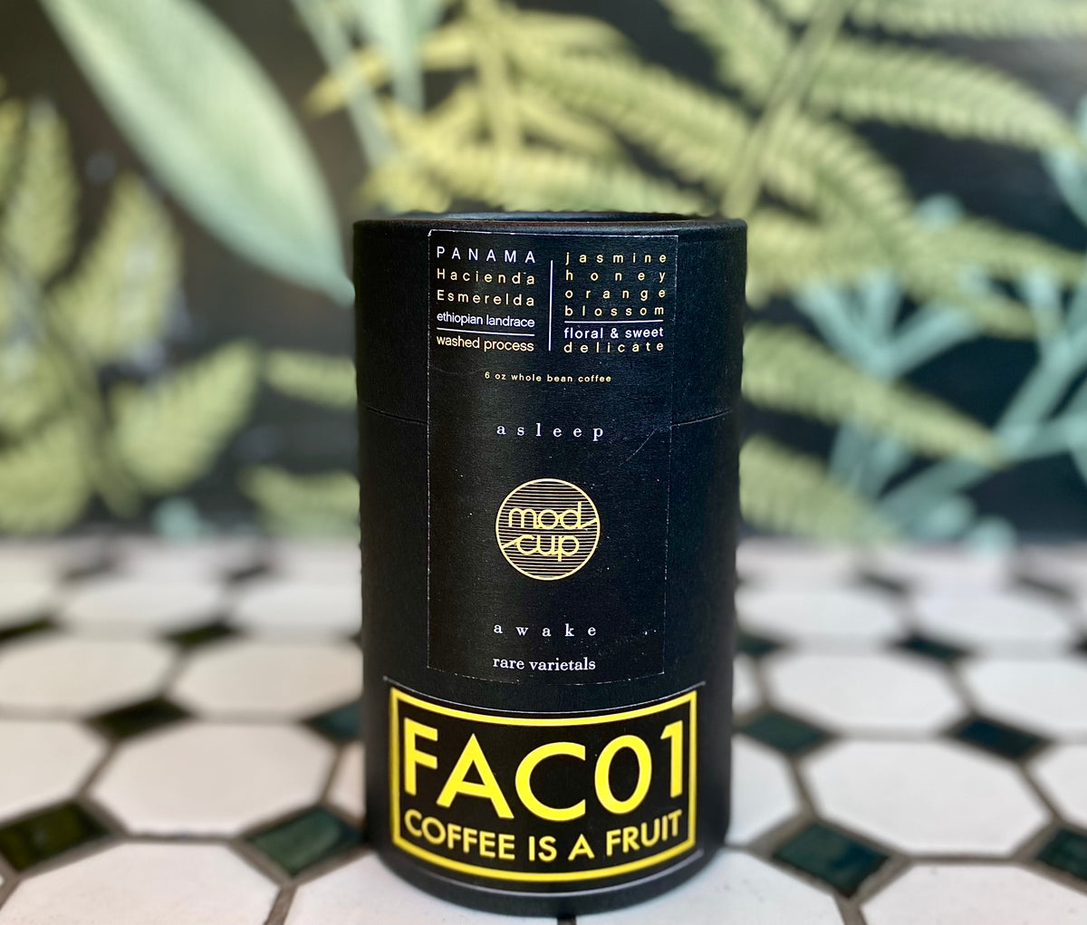 (PREVIEW) Single Origin Spotlight Series – modcup coffee