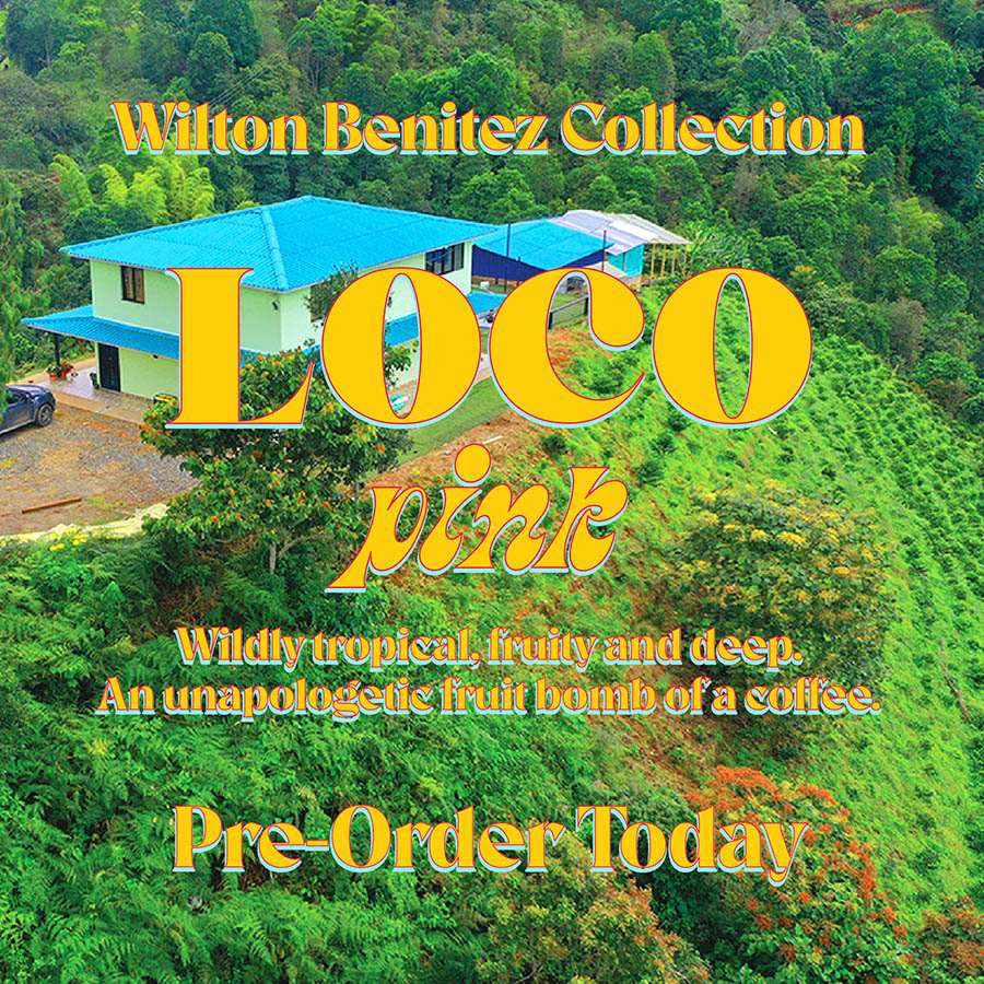 modcup Coffee | Superb Coffee Blends. Best Prices & Selection. – modcup coffee