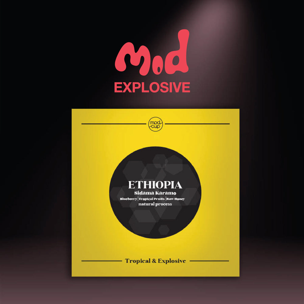 Collections – modcup coffee